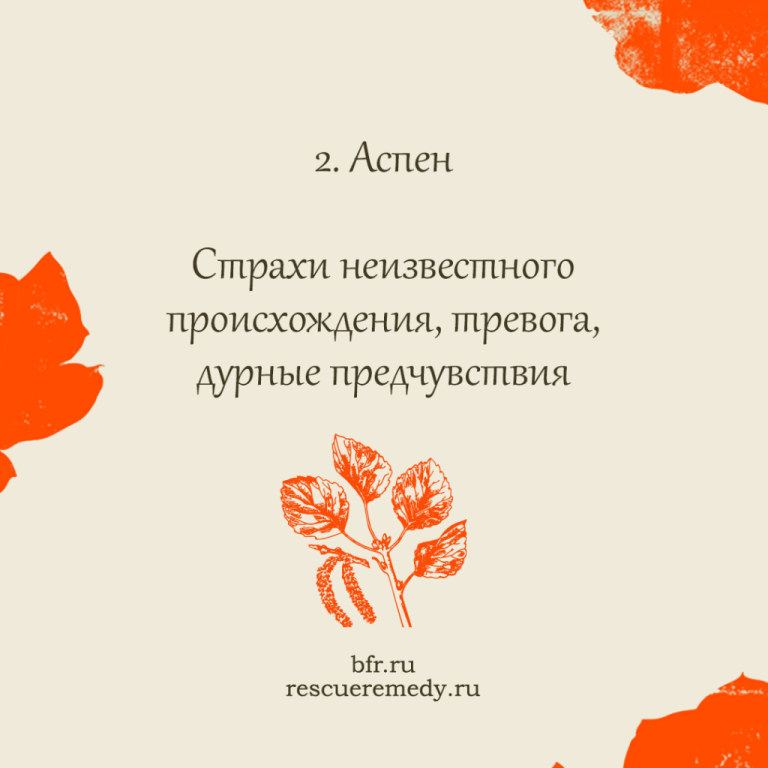 Рескью Ремеди (10 мл.) — BFR Organic